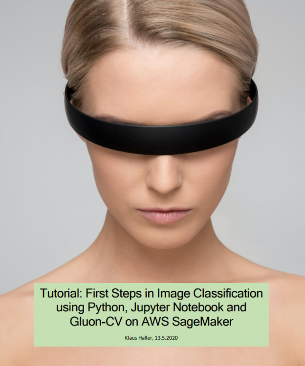 Tutorial: First Steps in Image Classification using Python, Jupyter Notebook and Gluon-CV on AWS ...